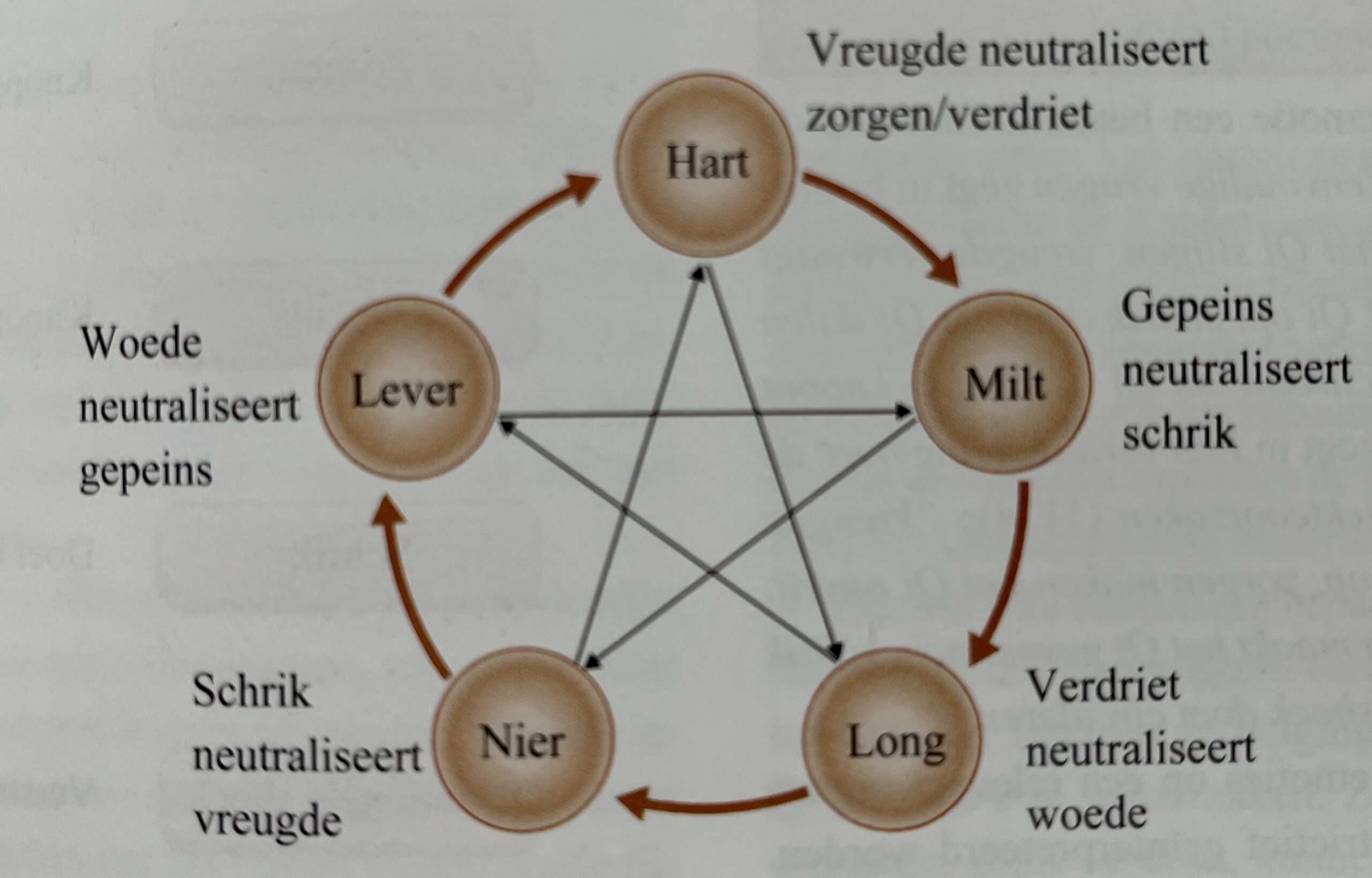 Hoe zit het met jouw aarde element.